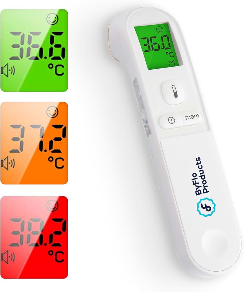 Amazon.ca: Thermometer