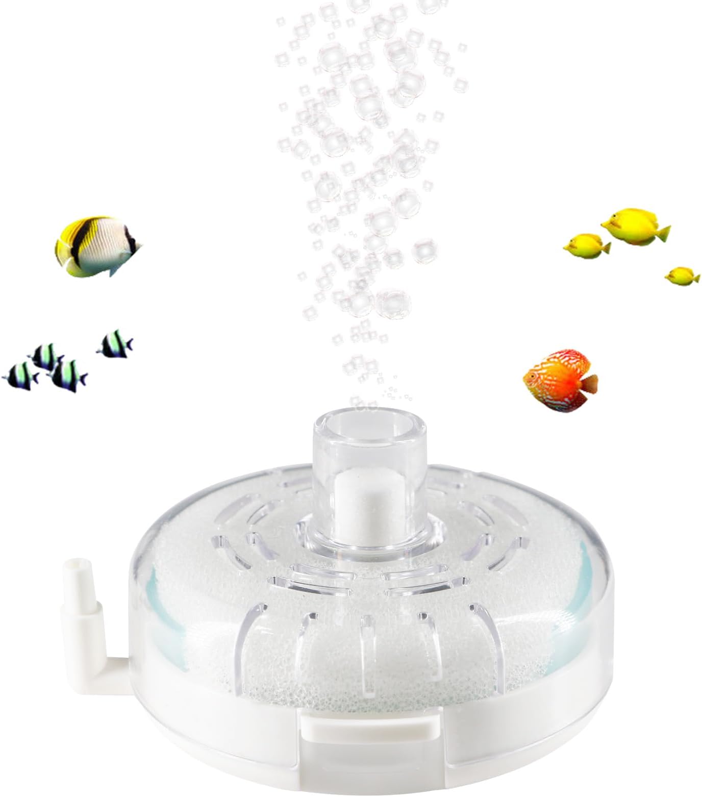 Amazon.com : BLOTFISH Aquarium Small Fish Tank Filter - Mini Fish Tank ...