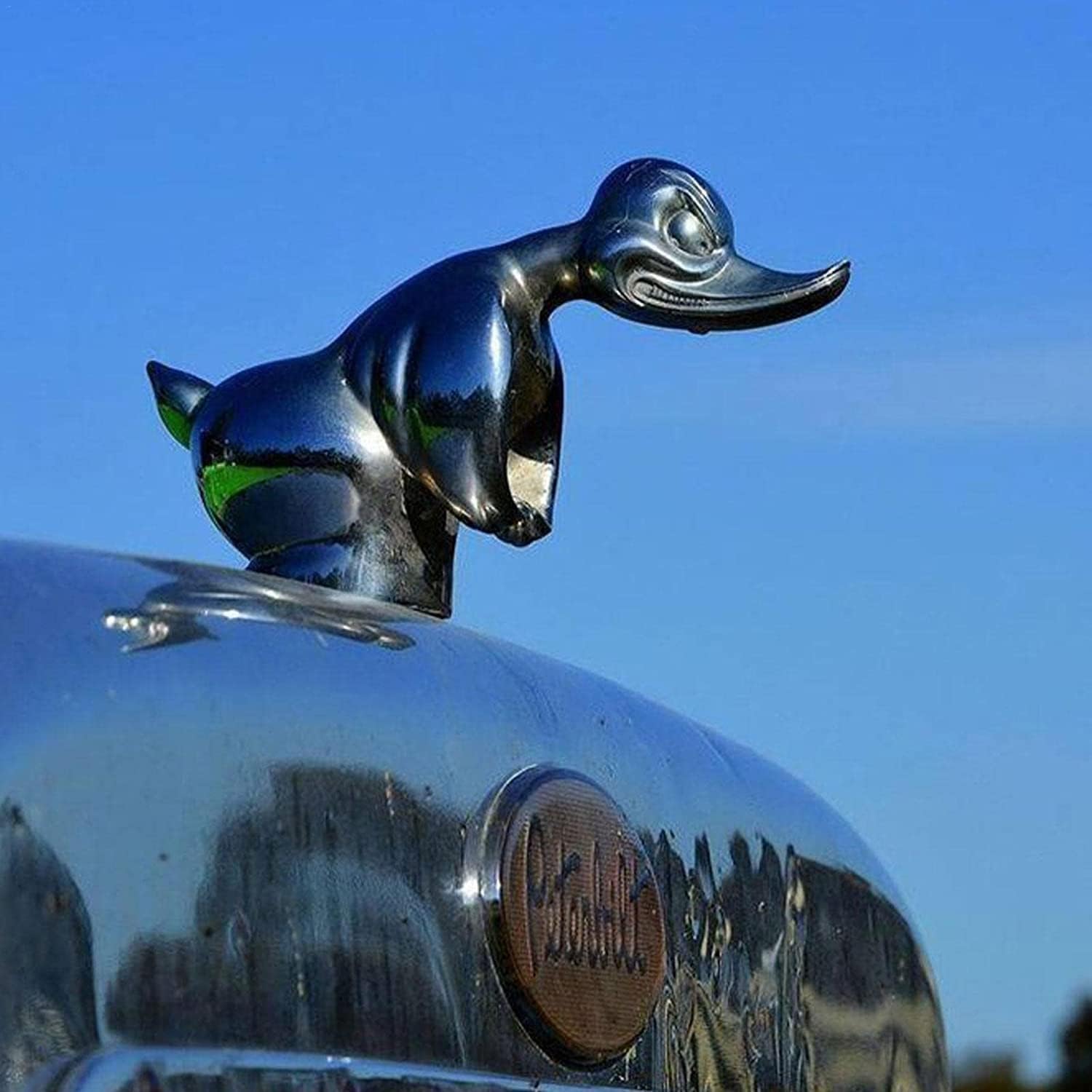 Amazon.com: furlinkhm Angry Duck Hood Ornament, 3D Car Chromed Metal ...