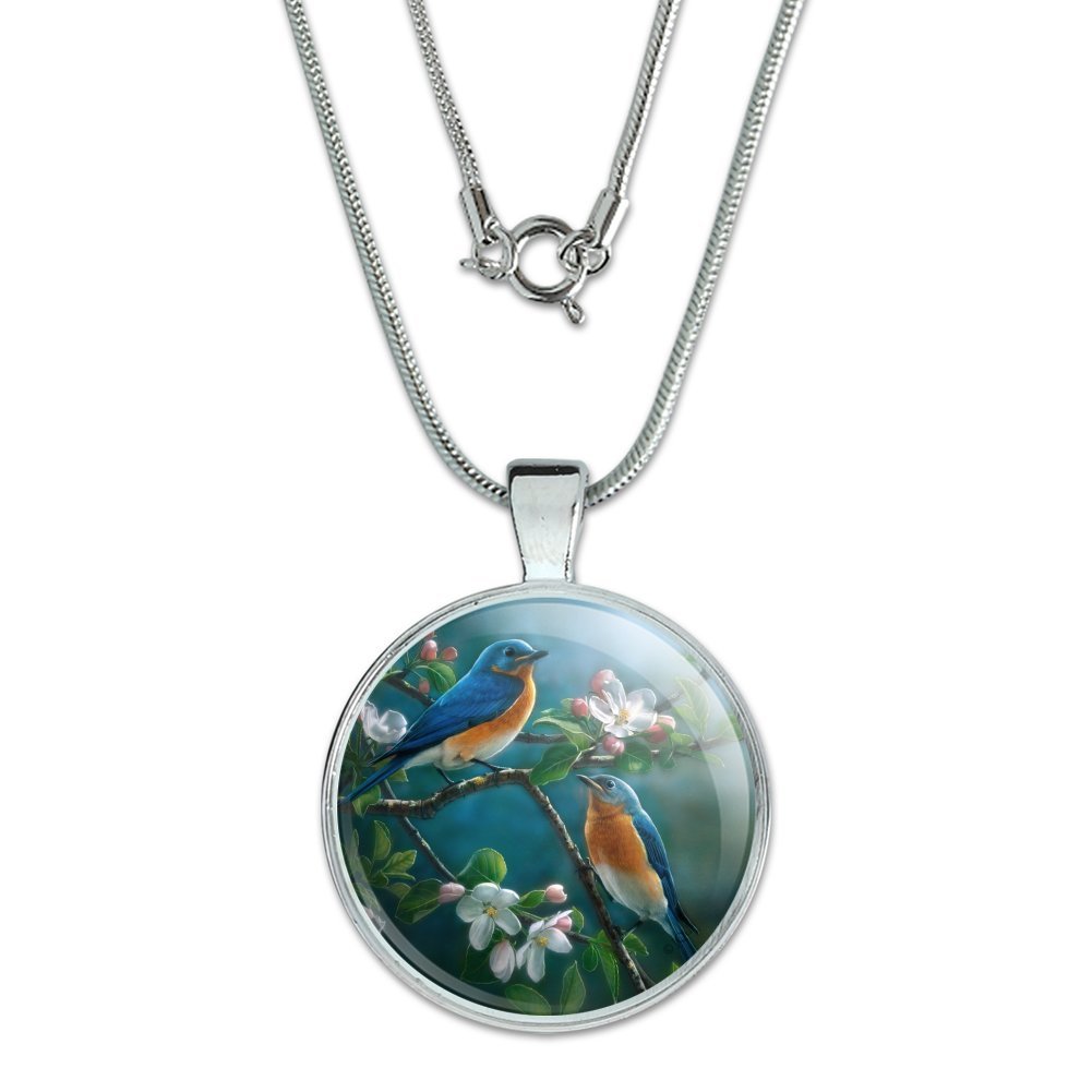 10 Best Bluebird Necklaces: Top 10 Picks - Hummingbirds Plus