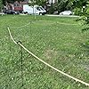 Amazon.com : 42" Inch, Single Rope Poles/Stakes for Creating a Rope ...