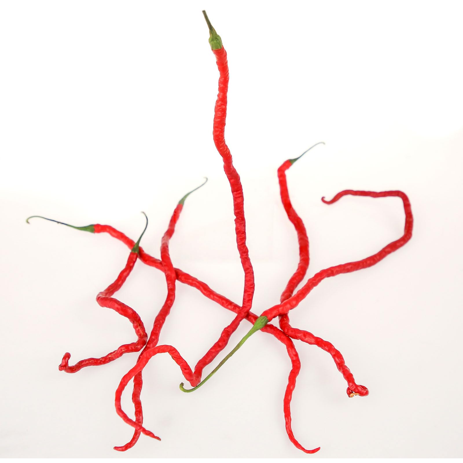 Amazon.com : Pepper Joe's Thunder Mountain Longhorn Pepper Seeds - Pack ...