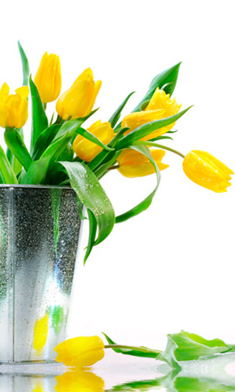 Flowers Wallpapers - App on Amazon Appstore