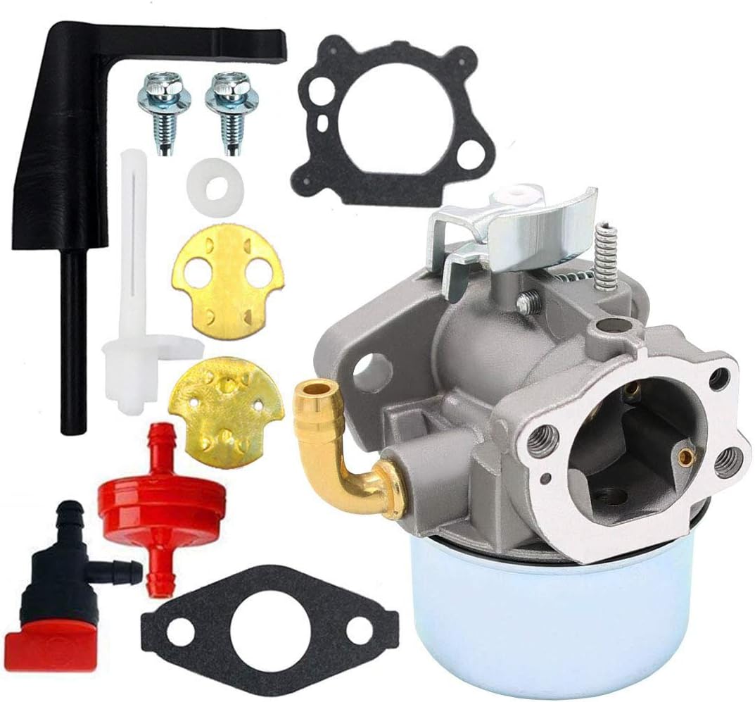 Amazon.com: 798653 Carburetor for Briggs & Stratton 696981 698860 ...