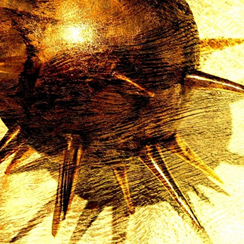 Amazon.co.jp: The Art of Dubstep : AFK Gold Digital: デジタルミュージック