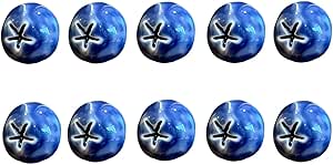 Amazon.com: Blueberry Ceramic Fridge Magnets, 2026 New Cute Mini ...