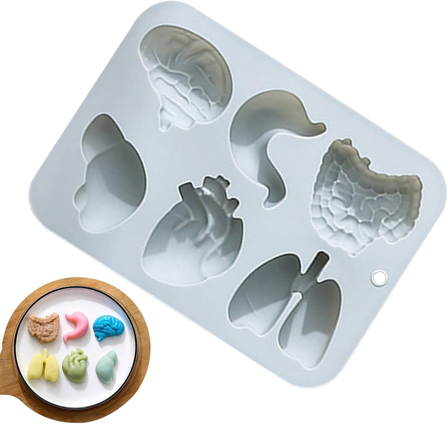 Amazon.com: Body Organ Molds - 6 Cavity Simulation Human Organs Fondant ...