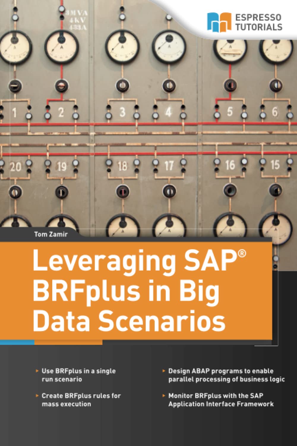 Amazon.com: Leveraging SAP BRFplus in Big Data Scenarios: 9783960124542 ...