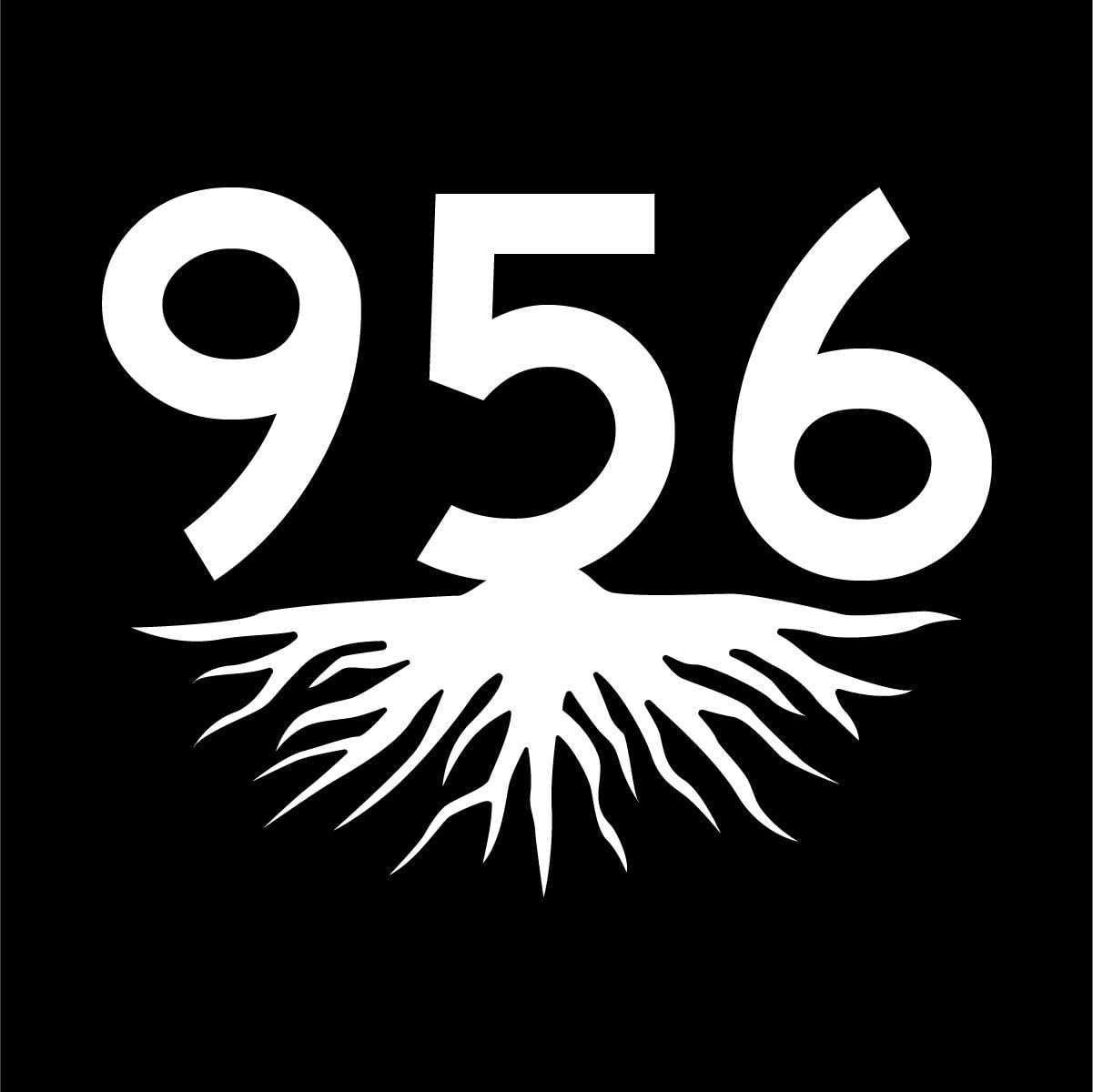 Amazon.com: JMM Industries 956 Roots Texas Area Code TX Vinyl Decal ...
