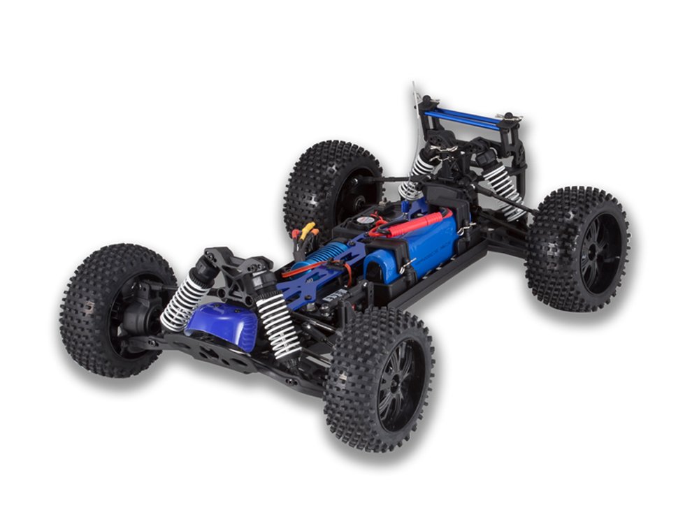 Buy Redcat Racing Caldera XB 10E Brushless Electric Buggy, Blue, 1/10 ...