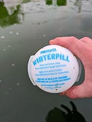 Amazon.com : SeaKlear AquaPill WinterPill Pool Clarifier and Enzyme up ...