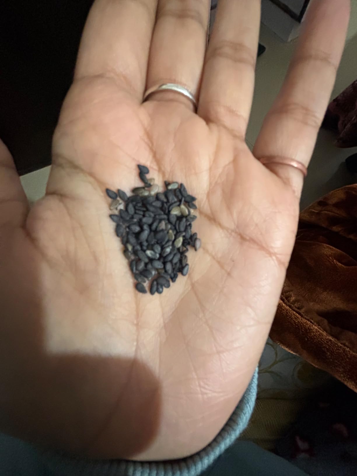 Minimal Raw Organic Black Sesame Seeds 900gm - Til Seeds for Eating ...