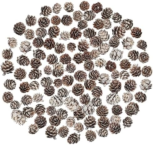 200 Pieces Christmas Pine Cones,Natural Mini Pine Cones Thanksgiving ...