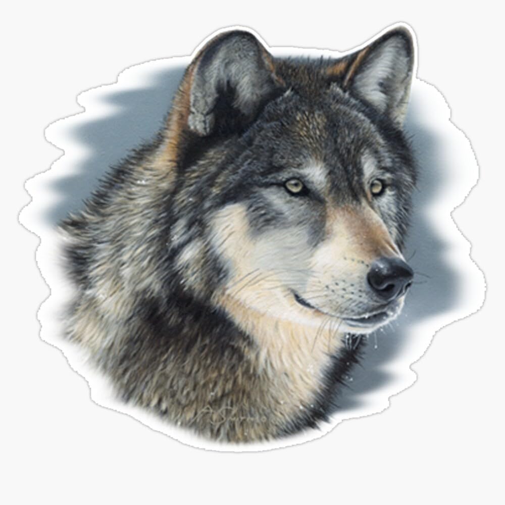 Amazon.com: The Gray Wolf Sticker Bumper Sticker Vinyl Decal 5 ...