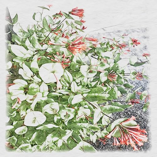 Systra mi von Emil Engdahl auf Amazon Music Unlimited