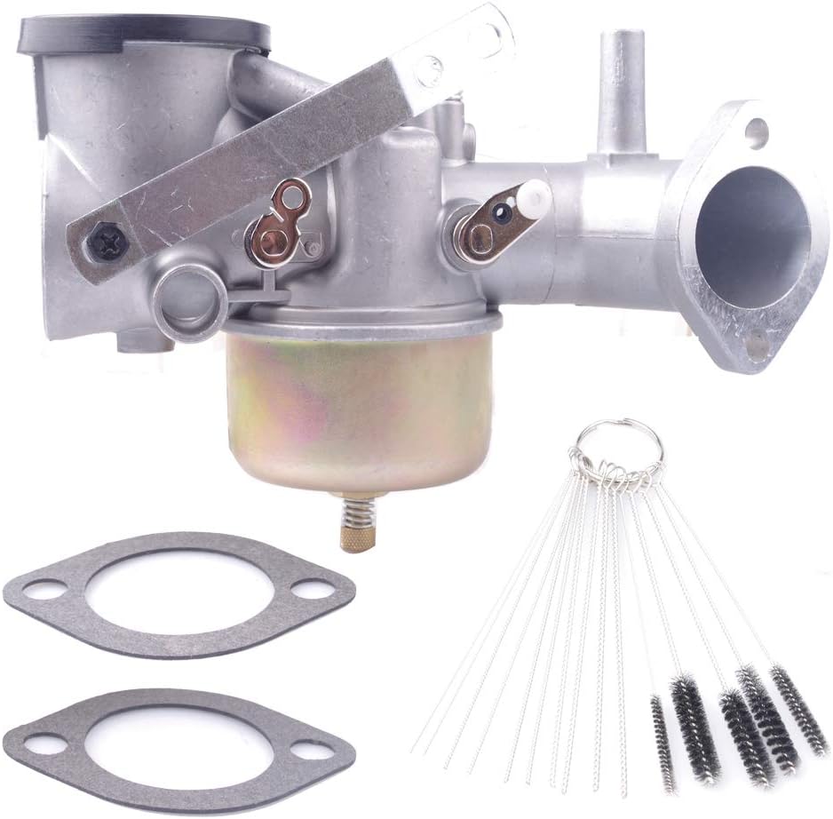 Dosens 491031 Carburetor Carb Compatible with Briggs & Stratton 490499 ...