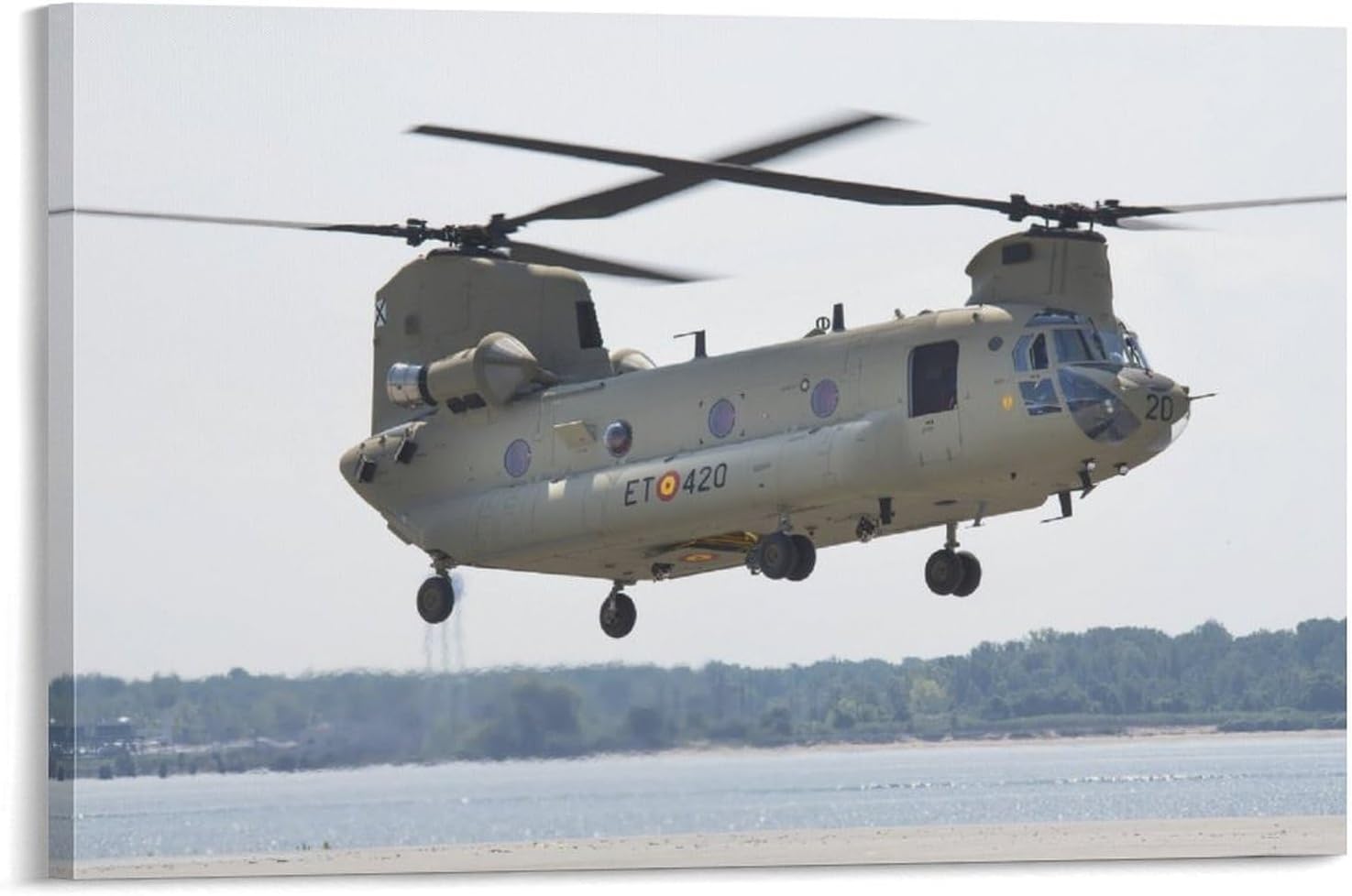 Amazon.com: CH-47 Chinook Military Aircraft Transport Helicopter (17 ...