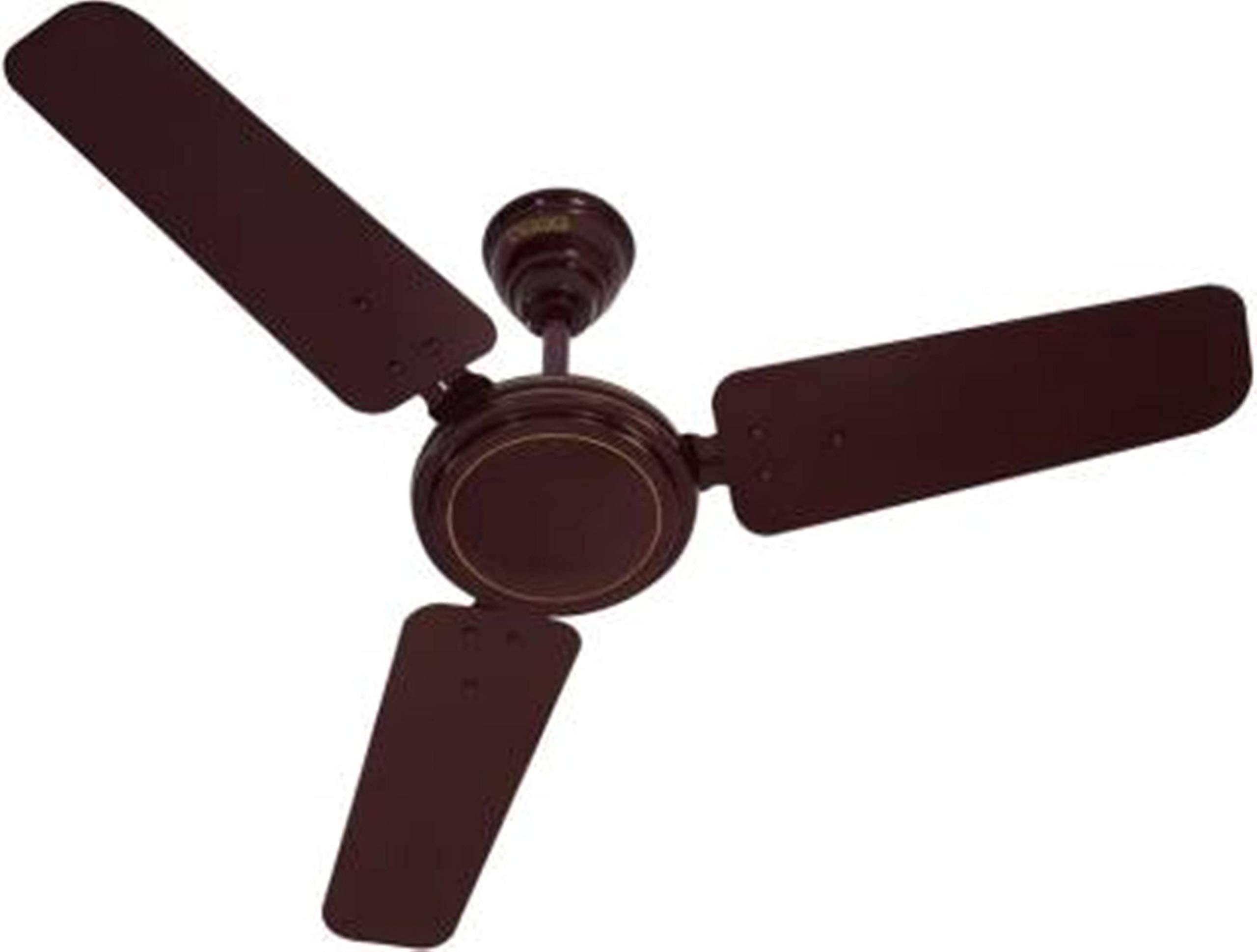 Buy Usha 900MM Swift W/O REG BR CF 900 mm 3 Blade Ceiling Fan (Brown ...