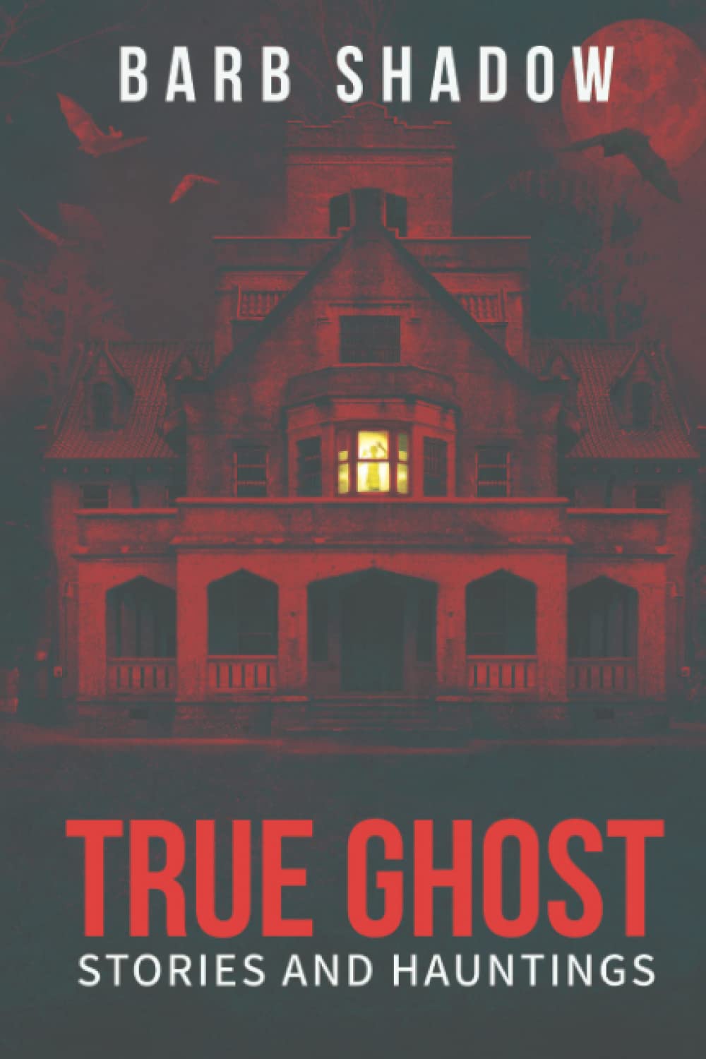 True Ghost Stories and Hauntings: Shadow, Barb: 9780999837474: Amazon ...