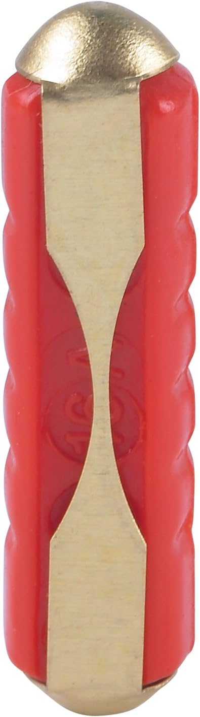 Amazon.com: Bussmann BP/GBC-16 16 Amp German/European Fuse : Automotive