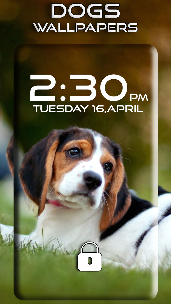 Dog Wallpaper - App on Amazon Appstore