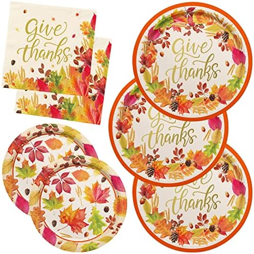 Amazon.com: Fall theme Thanksgiving Party Supplies Kit, Serve 50 ...