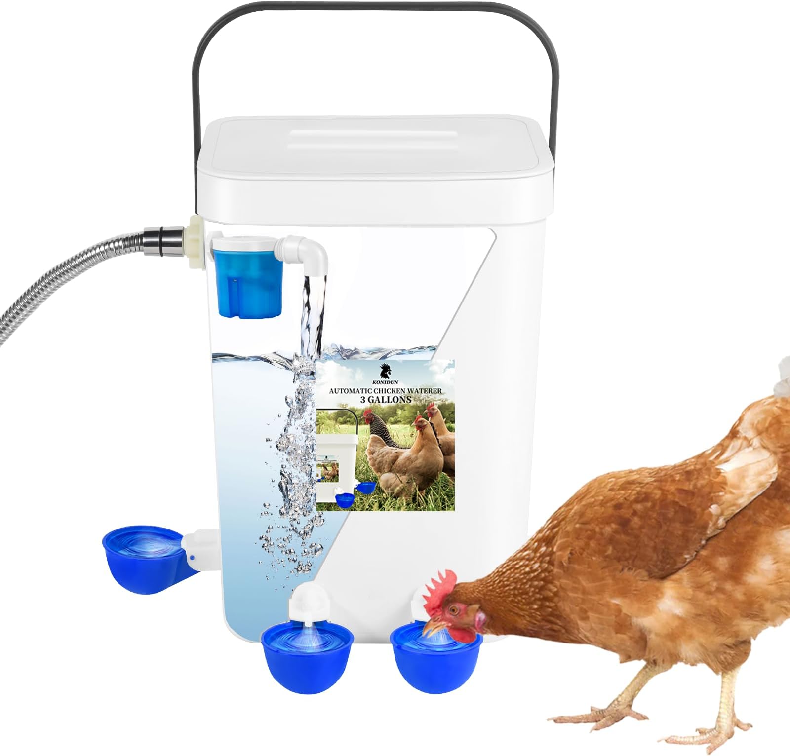 Amazon.com: KONIDUN Automatic Chicken Waterer Set with Filtering ...