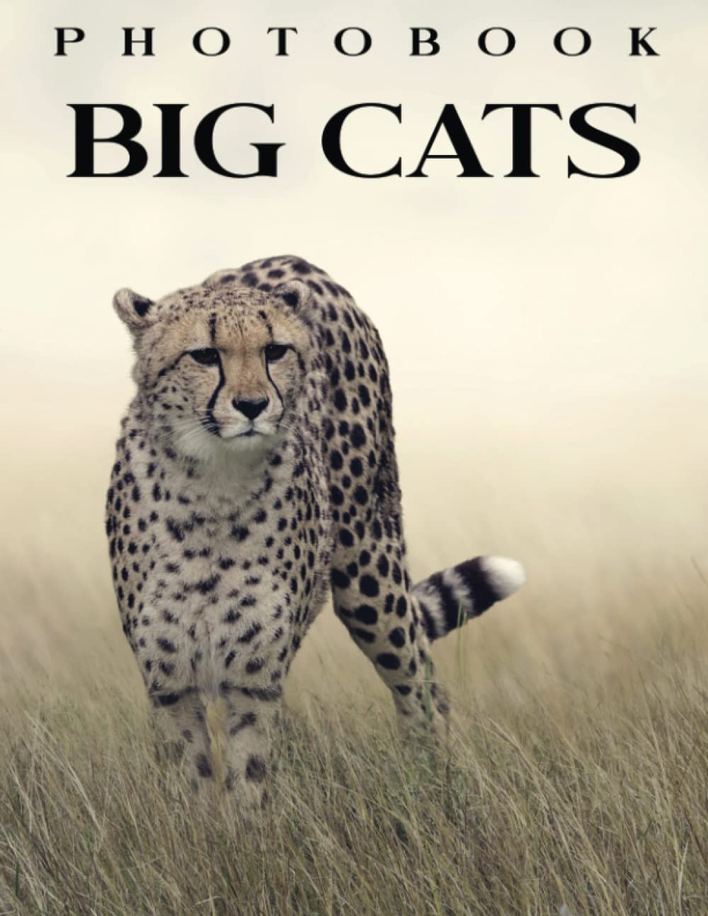 Picture Book Of Big Cats: Compelling Photos Of Big Cats Collection As A ...