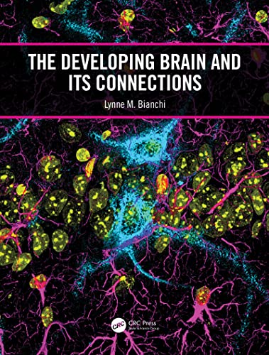 The Developing Brain and its Connections 1, Bianchi, Lynne M. - Amazon.com