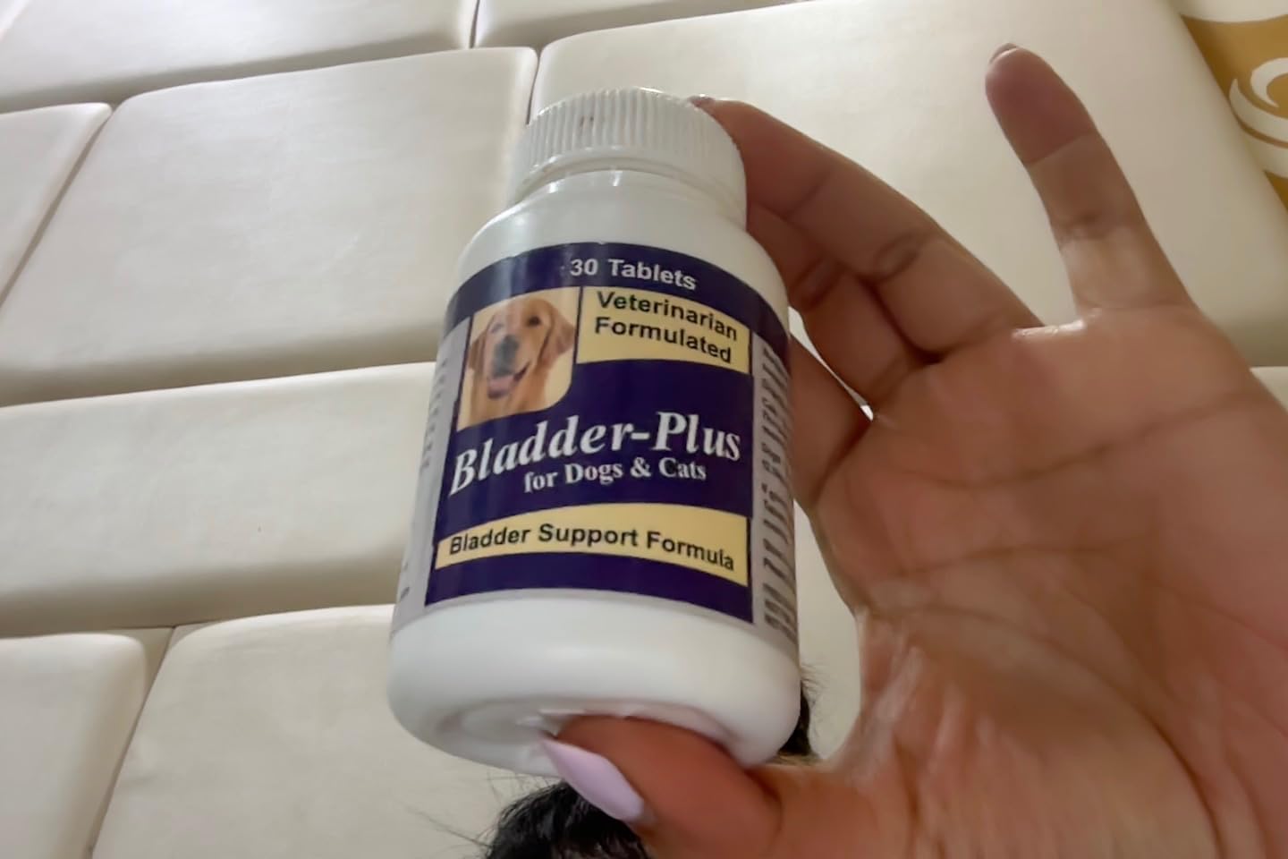 Buy Bladder Plus for Dogs and Cats -30 Tabs Online at Low Prices in India - Amazon.in