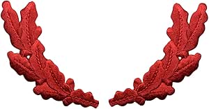Amazon.com: Red Scrambled Eggs Embroidered Applique Patch - Military ...