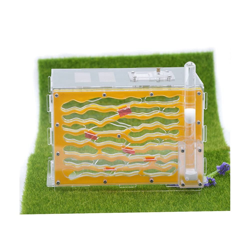 Enorme Habitat Di Formicaio ACTO Ants Effetto Cemento Distruttore Di