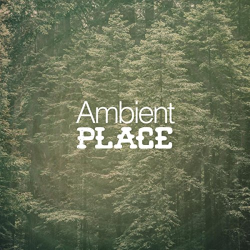 Amazon.com: Ambient Place : Meditation and Relaxation: Everything Else