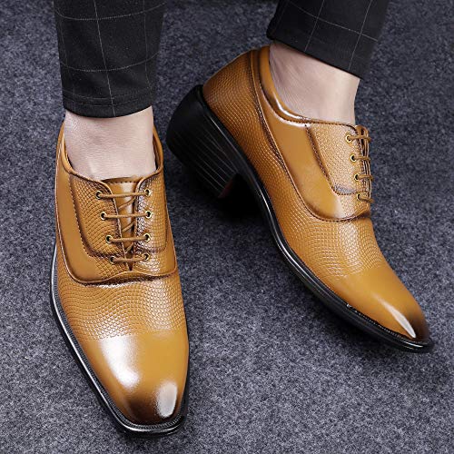 Buy SABATES Men's Leather Formal Height Incresing Shoes Tan Oxford ...