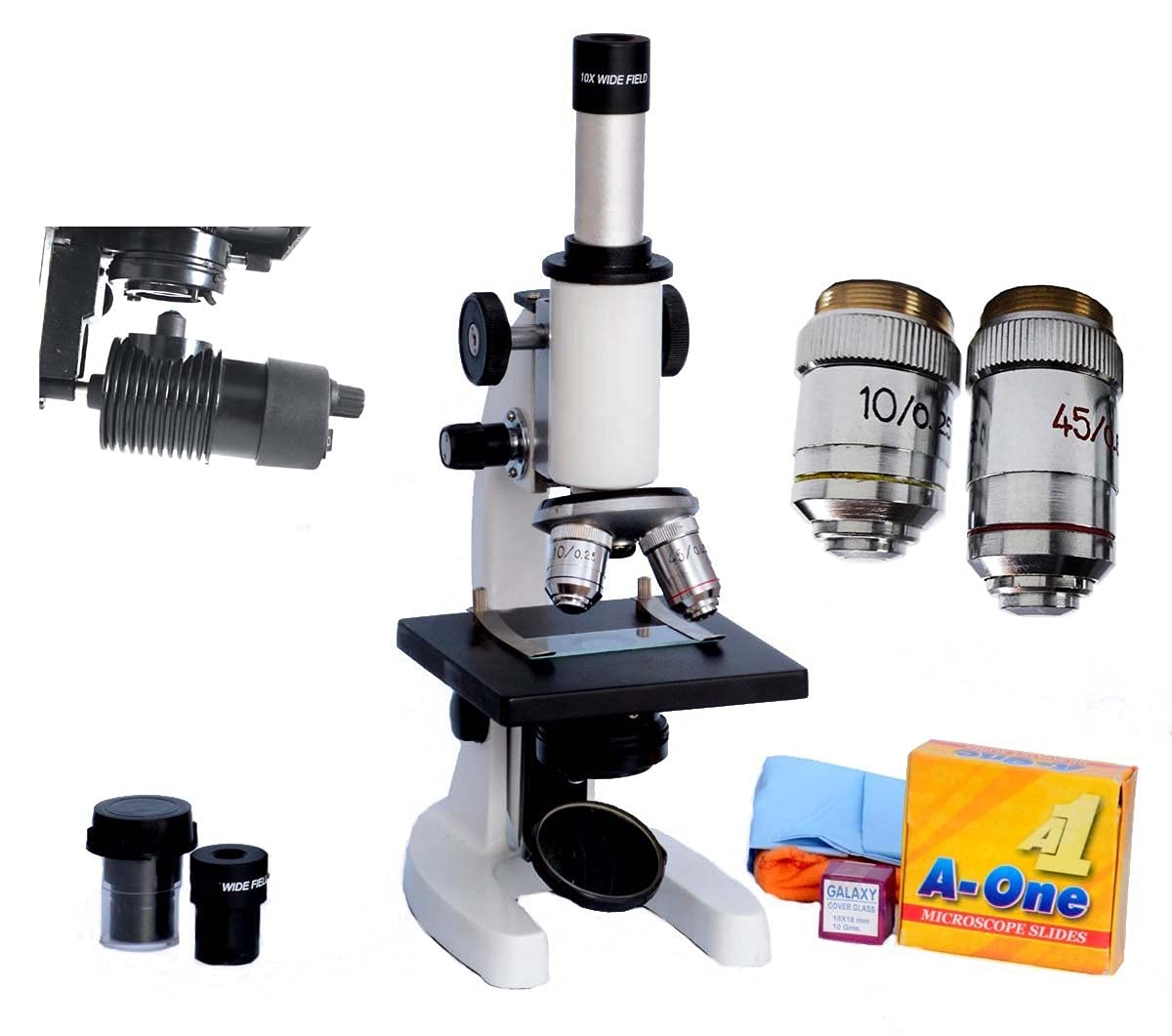 Buy BEXCO Biology Student Compound Medical Micro for Students 100x to ...