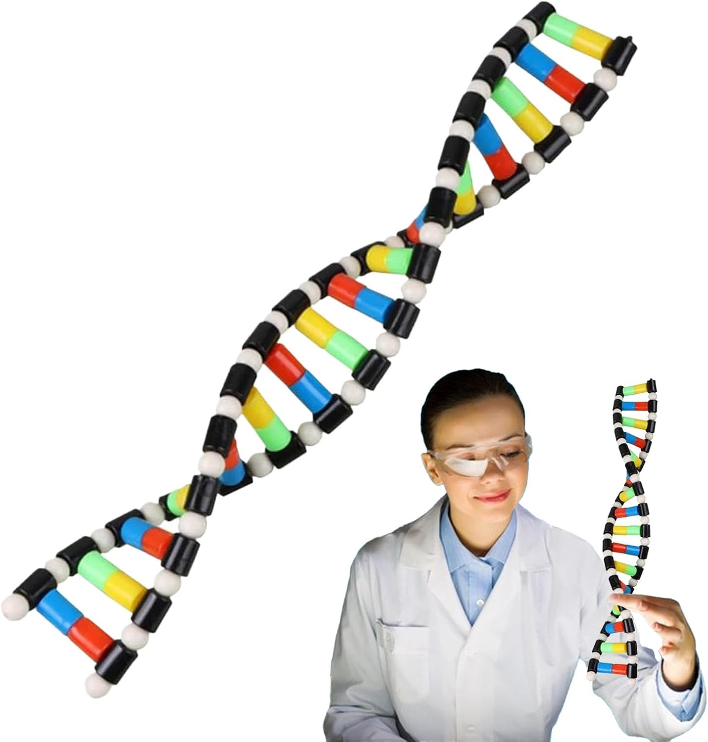 Dna Model Assembly Kit - Dna Model Educational Toy Kids, Interactive ...