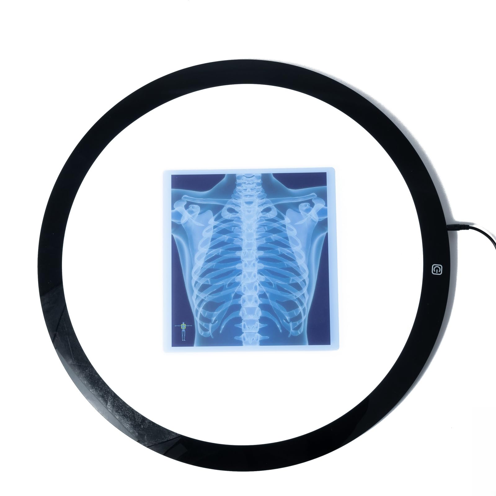 Snapklik.com : Odoorgames 21 Pieces Human Body X-Ray Kit - Interactive ...