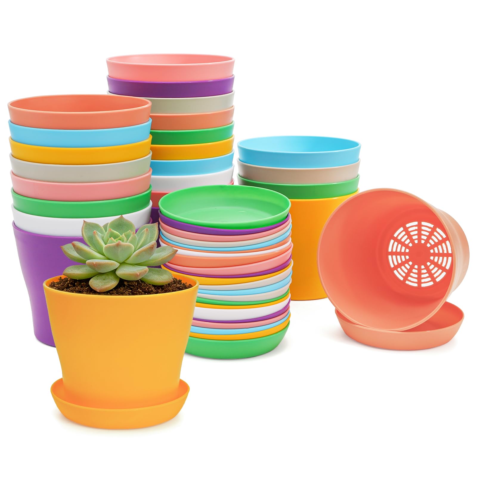 5 Best Cheap Flower Pots | Shed the Pricey Pot Myth