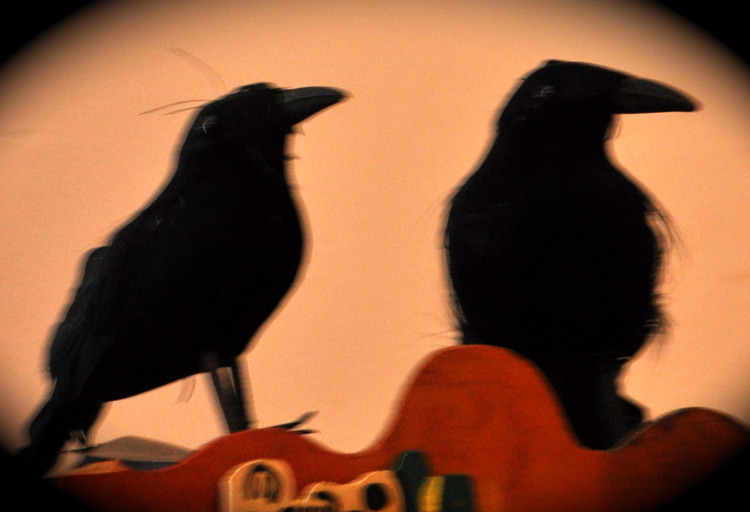 Amazon.com: Julia Talmadge: books, biography, latest update