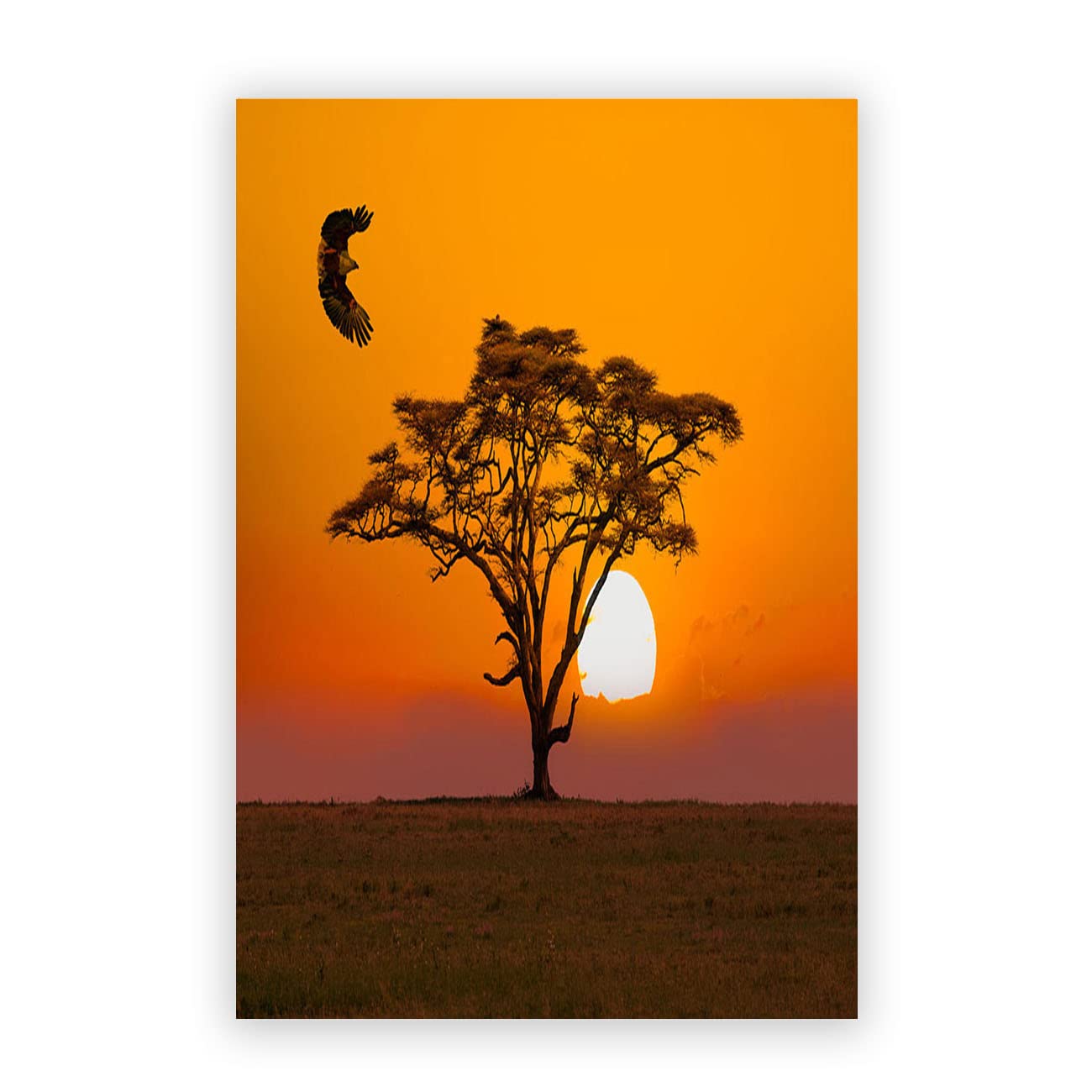 African Sunset Tree
