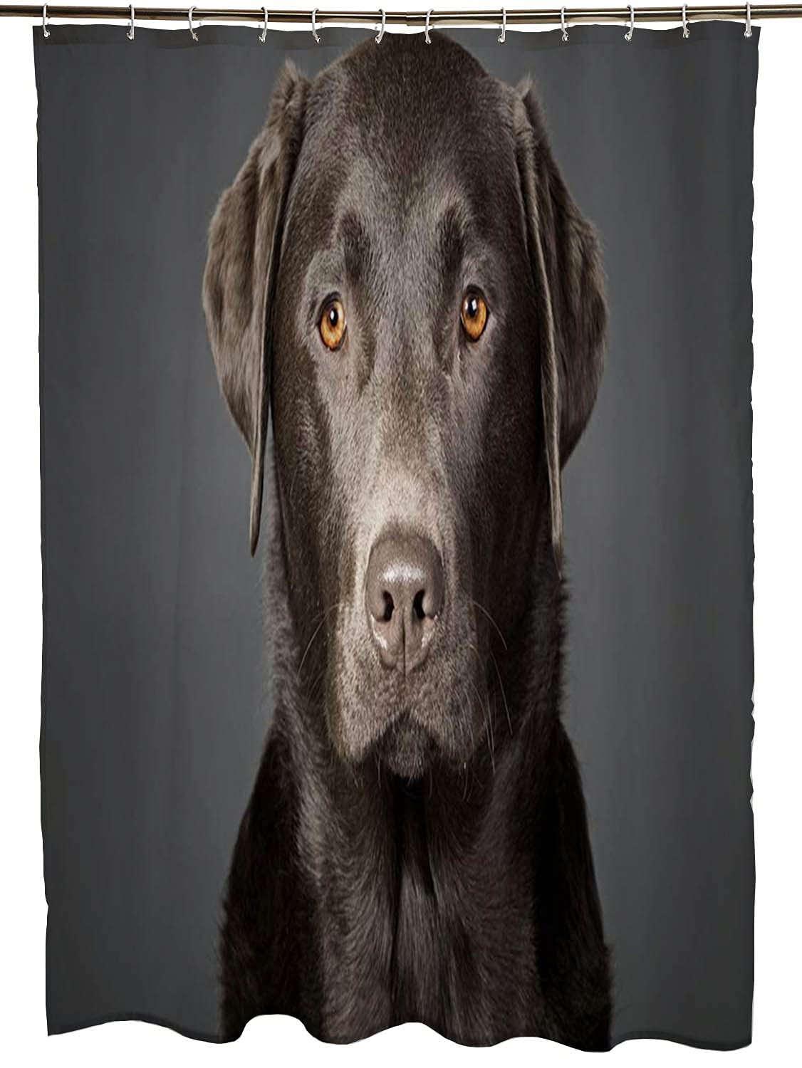 Chocolate Lab Shower Curtain