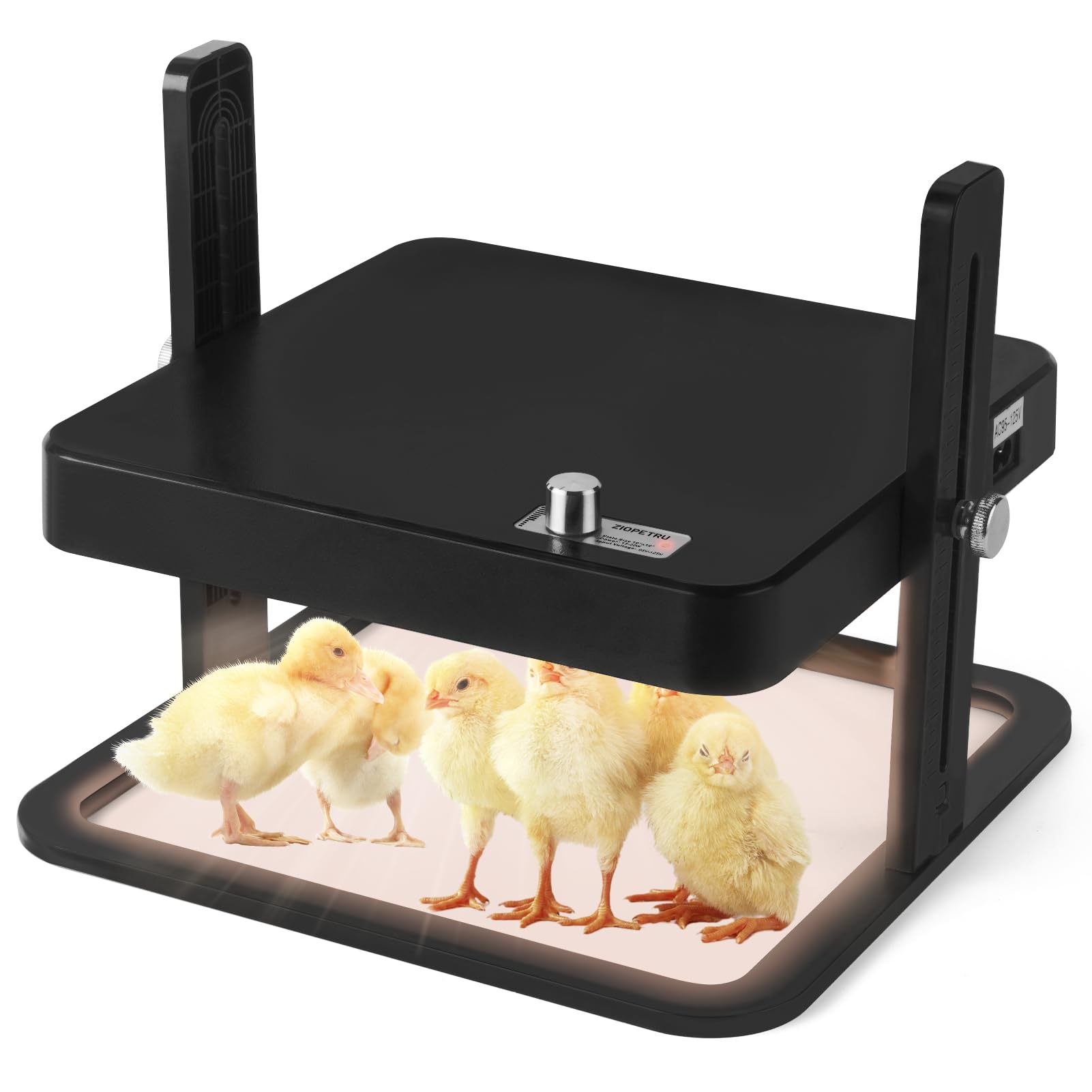 Amazon.com: Ziopetru Chicken Brooder Heater, Chick Warmer with ...