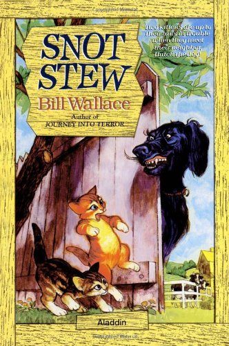 Snot Stew (A Minstrel Book): Wallace, Bill: 9780671693350: Amazon.com ...