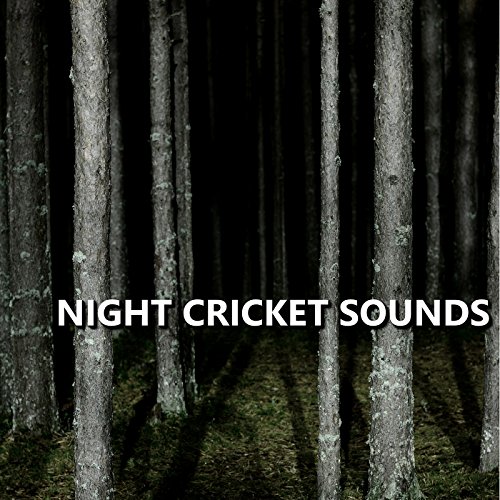 Amazon.com: Night Cricket Sounds : Cricket Sounds: Digital Music