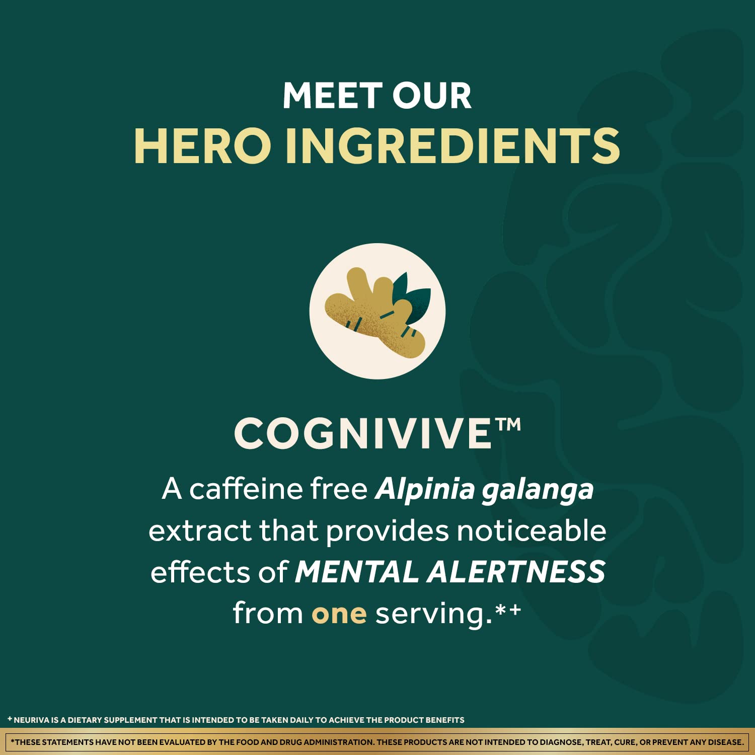 Snapklik.com : NEURIVA Ultra Decaffeinated Clinically Tested Nootropic ...