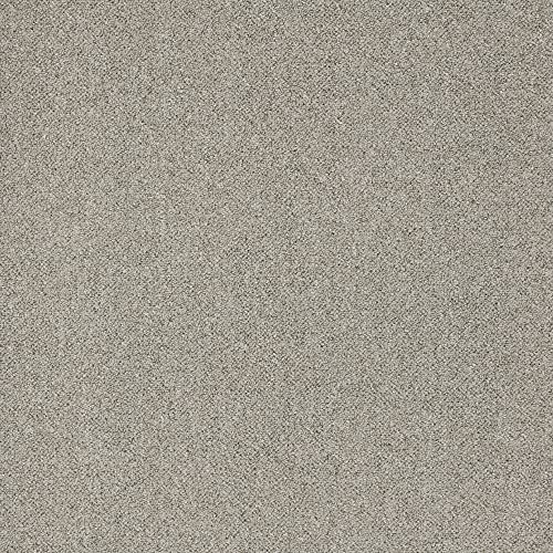 Top 10 Best Carpet Samples Free Squares : Reviews & Buying Guide - Katynel