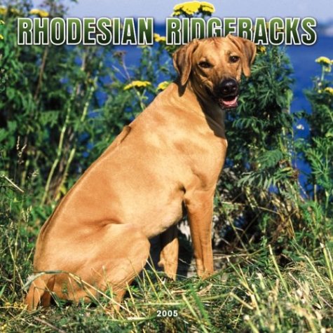 Rhodesian Ridgebacks 2005 Calendar: 9780763176532: Amazon.com: Books