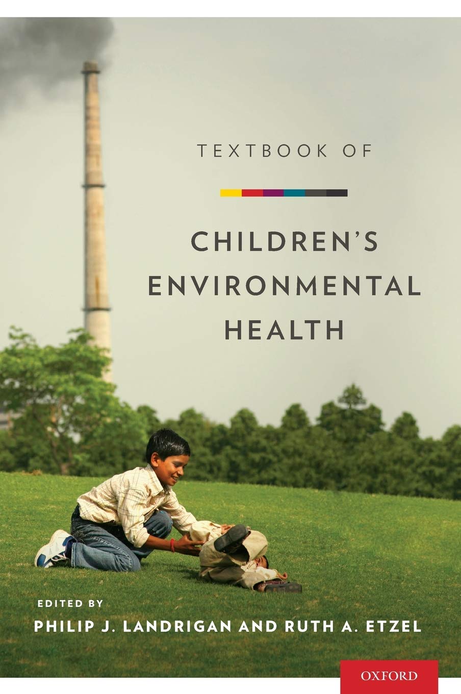 Textbook of Children's Environmental Health: 9780199929573: Medicine ...