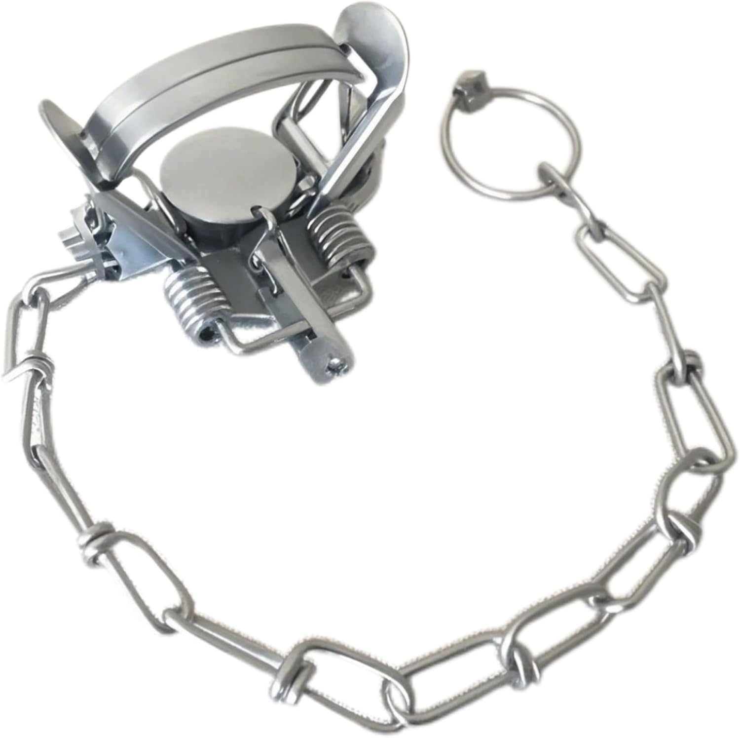 Amazon.com : Live Small Animal Trap Raccon Rabbit Traps for Outdoor ...