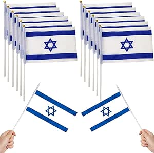 Amazon.com : ROSLILY 100 Pack Israel Handheld Flags 8x5 Inch Hand ...
